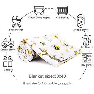 HOMRITAR Baby Blanket for Girls Soft Plush Minky Blanket with Double Layer Dotted Backing for Infant Picnic Traveling with Cute Animals Multicolor Printed 30 x 40 Inch (Yellow Bees)