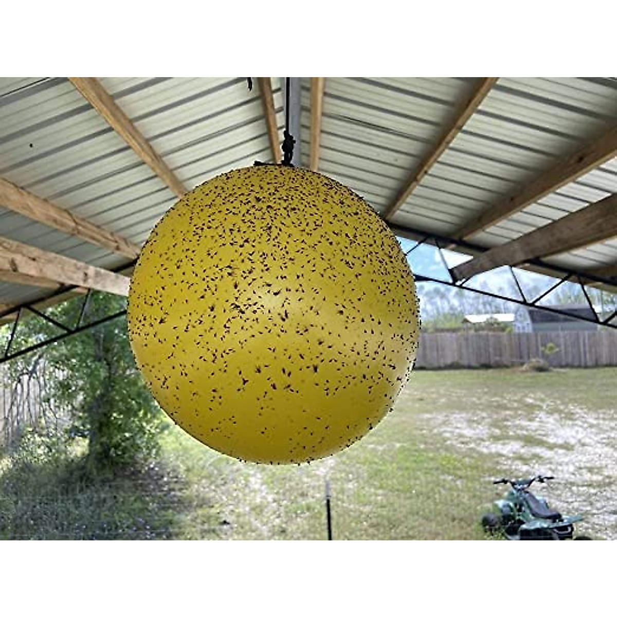 Bug Ball Gnat Ball 4 Pack Starter Complete kit - Gnats, House Fly, No-See-Um, Aphids whiteflies, and Love Bugs Trap