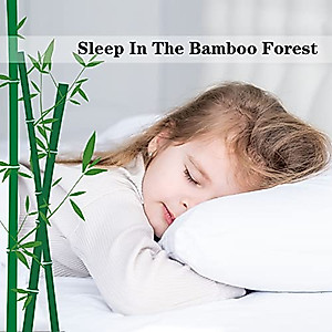 DREAMHOUR Bamboo Fiber Comforter Queen Size,Black Ultra Soft Breathable Plush Duvet Insert All Season Machine Washable,8 Corner Tabs 90X90 Inches