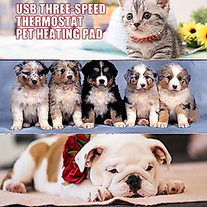 Pet Heating Pad, 5V 2A USB Pet Warmer Heating Pad Electric Heater Pad Winter Warm Carpet for Animals Pet Heater Mat Carpet (Large)