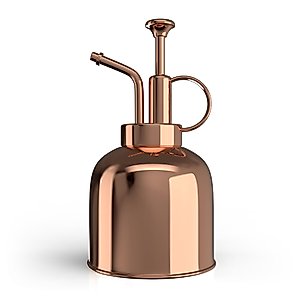 LOOPSEED Stainless Steel Plant Mister Spray Bottle Watering Can for Indoor Plants Succulent Bonsai Garden Spray Houseplant Spritzer Modern Garden Tools 10oz/300ml (ROSE GOLD)
