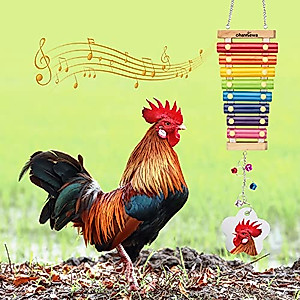 Ohanniewa Chicken Toys for Hens Chicken Xylophone Toy Chicken Mirror and Shredding Foraging Toys for Coop