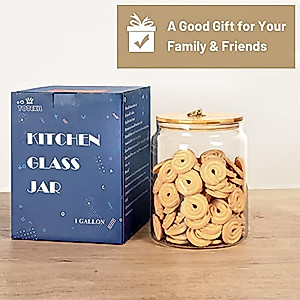 Totexil Large Glass Jars, 1 Gallon Thicken Glass Food Storage Jars with Bamboo Lids, Airtight Glass Canisters with Mental Handle, Kitchen Storage Containers for Coffee Beans, Cookie, Flour, Rice, Nuts