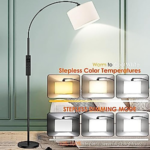 Arc Floor Lamps for Living Room,Modern Standing Lamp with Remote Control,Tall Lamp with Stepless Dimmable,5 Color temperatures,Over Couch Arched Reading Light for Bedroom,Office(Bulb Included)