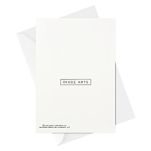 Hallmark Image Arts Boxed Christmas Cards Assortment, Classic Plaid (4 Designs, 24 Cards with Envelopes)