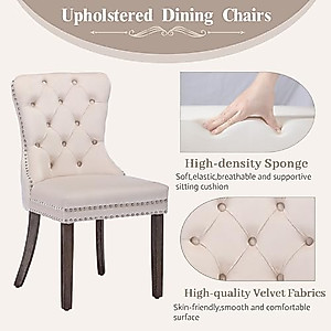 KCC Velvet Dining Chairs Set of 2 (Renewed), Upholstered High-end Tufted Dining Room Chair with Nailhead Back Ring Pull Trim Solid Wood Legs, Nikki Collection Modern Style for Kitchen, Beige