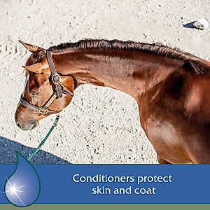 Farnam Vetrolin Bath Ultra-Hydrating Shampoo for Horses and Dogs, 32 Ounces