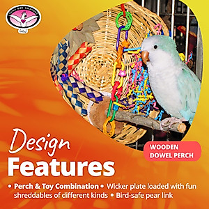 Super Bird Creations SB543 Busy Birdie Play Perch Bird Toy, Small/Medium Bird Size, 9.5" x 9.5" x 6"