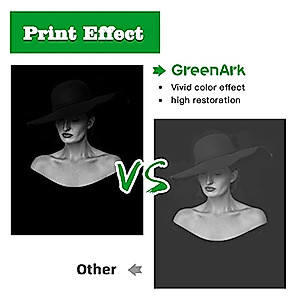 GREENARK Compatible for Dell Series 21 Black Ink Cartridges Use for Dell V313w V515w P513w V715w P713w Printers 4 Pack Black for Dell Series 21, Series 22, Series 23, Series 24 Ink Cartridges