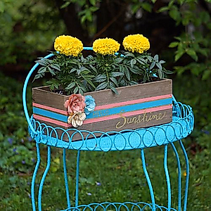 DecoArt DCP46-3 Patio Paint, 2-Ounce, Mistletoe Green