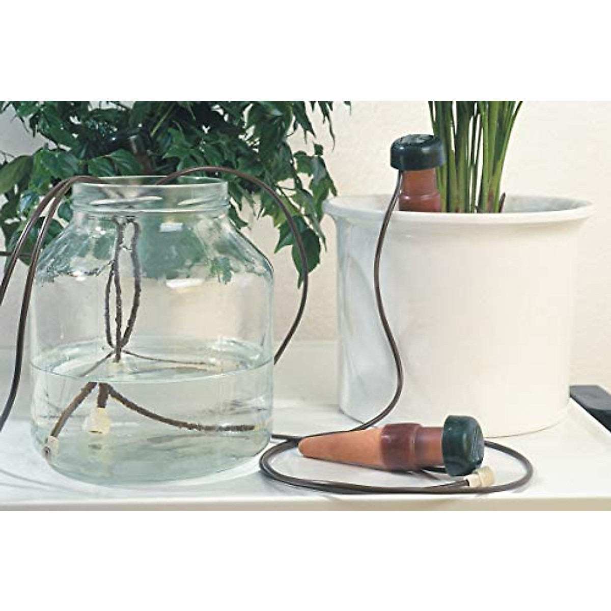 Blumat Classic Plant Watering Stakes | for Everyday Home or Vacation Use | Indoor or Outdoor Water Spikes for Plants | Automatic Drip Irrigation (6 Pack)