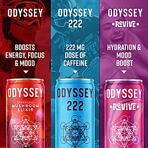 ODYSSEY ELIXIR Sparkling Mushroom Drink with Lions Mane and Cordyceps Adaptogenic Mushrooms, L Theanine and Green Tea Caffeine for Energy and Focus, 12 Fl oz, Variety Pack, 12 Cans