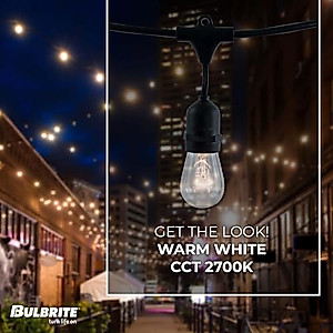 Bulbrite STRING15/E26-S14KT Outdoor, Garden, Patio, Wedding, Party, Holiday, Lawn, and Landscape String Light w/Incandescent Bulbs, 48-Feet, 15 Lights