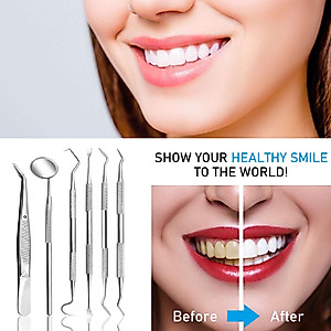 Plaque Remover for Teeth Portable Dental Tools Stainless Steel Dental Picks for Teeth Cleaning Oral Care for Adults Kids and Pets Tartar Remover for Teeth with Case for Daily Use