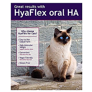 Cat Joint Supplement, Hyalogic Hyaluronic Acid Cat Supplements– 30-60 Day Supply, 1oz HA, Cartilage Supplement, Hip & Joint Supplement - Cat Health Supplies, W/ No Fuss Liquid Dropper