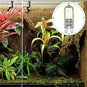 12 Pcs Mini Halogen Bulb Reptile Light G9 Uvb Bulbs Lamp Basking and Night Time Bulb Halogen Bulbs Beads Heat Lamp for Reptiles (50 Watts)