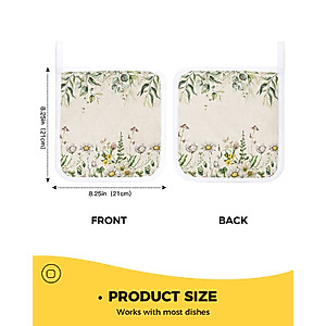Spring Floral Pot Holders for Kitchen Heat Insulation, Weeping Eucalyptus Leaves Botanical Summer Flowers Daisy Potholders Hot Pads with Hanging Loop, Washable Pot Holder Trivet for Cooking 5 Pack