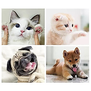 scy Soft Plush Pet Sofa Bed, Square Kennel Fluffy Plush Cat Dog Sofa Mat Dog Mats for Sleeping and Anti Anxiety Plush Soft Fluffy Pet Beds Pet Supplies Pet Nest Cushion (Color : Gray)