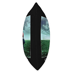 Pink Floyd Live at Knebworth 1990 Throw Pillow, 18x18, Multicolor