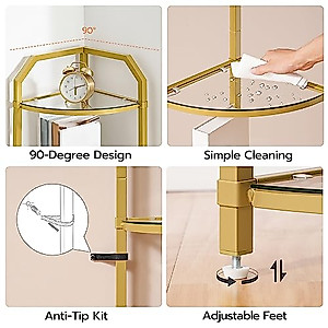 HOOBRO 5-Tier Corner Shelf Stand, Gold Corner Bookshelf, Tempered Glass Shelves, Corner Plant Stand, for Living Room, Bedroom, Study, Bathroom, Balcony, Modern Style, Gold GD14CJ01
