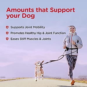 Nutri-Vet Hip & Joint Biscuits for Dogs | Tasty Dog Glucosamine Treat & Dog Joint Supplement | LARGE Biscuit with 500mg Glucosamine | 4 LB Bag