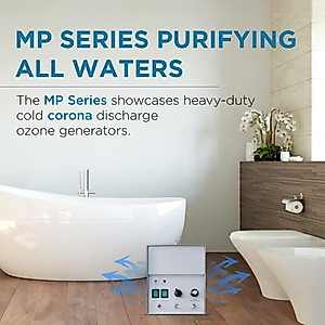 MP-3000 Ozone Generator, Light-Duty Ozonator, for Water-use with optional oxygen Hookup, up to 3000 mg/hr, with Timer Function
