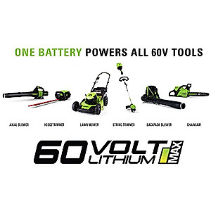 Greenworks Pro 60-Volt Max-Volt 5-Amp Hours Rechargeable Lithium Ion (Li-ion) Cordless Power Equipment Battery