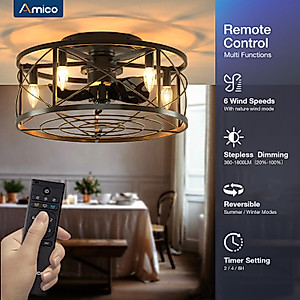 Amico 20 in caged ceiling fans with lights bladeless