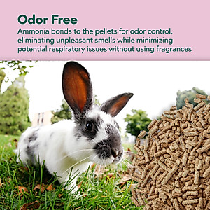 Andy Wood Pellet Bedding, 5 lb Bag, Premium Pine Pellets for Rabbits & Guinea Pig Bedding, Small Pets, Hamster, & Rabbit Litter