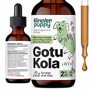 Gotu Kola for Dogs - Supplement for Dog Brain Health - Calming Dog Vitamins w/Centella Asiatica - Brain Support Dog Essentials w/Gotu Kola - Herbal Dog Vitamins and Supplements Liquid - 2 oz