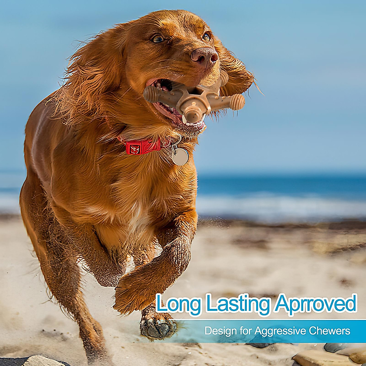 PETSTA Dog Chew Toys, Indestructible Dog Toys for Aggressive Chewers, Extreme Tough Dog Toys for Large Dogs, Dog Chew Bone for Large/Medium Dogs Breed, Gifts for Dogs