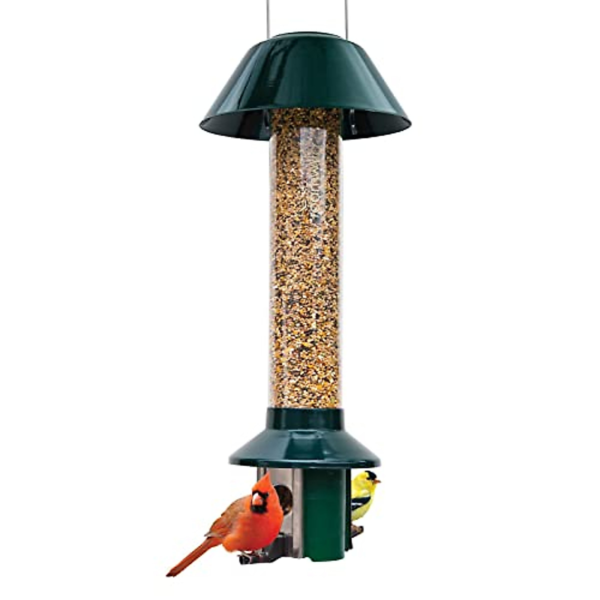 Roamwild PestOff Squirrel Proof Wild Bird Feeder Mixed Seed Sunflower Heart Version - Green - 3LBS Seed Capacity – 21”x8”x8” (w/Hanger)