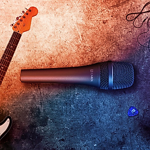 CAROL AC-910 Vocal Microphone - Cardioid Dynamic Microphone with AHNC Noise Cancellation, for Professional Live Stage Singing Performance, Includes Mic Clip and 14.8ft XLR Cable