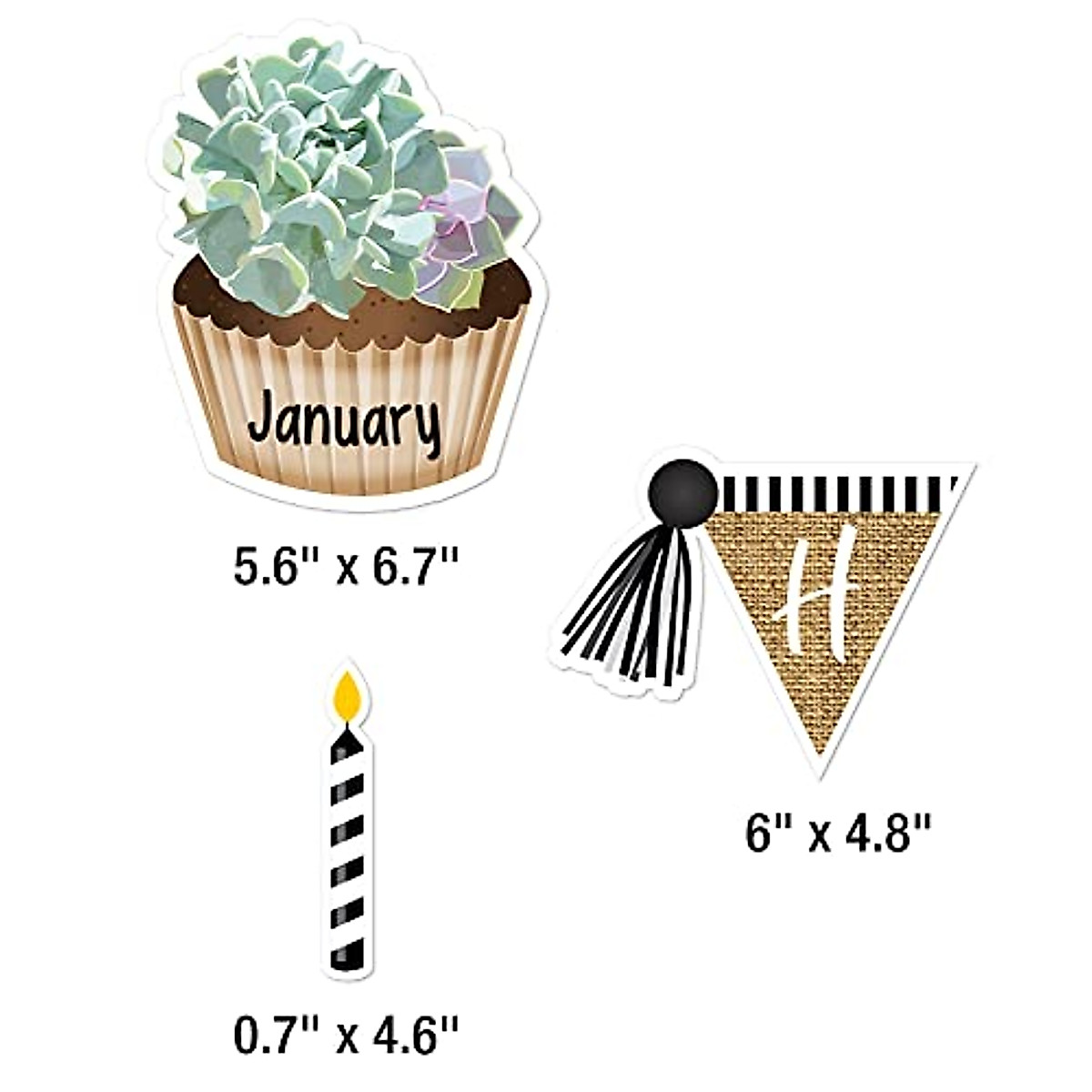 Schoolgirl Style Birthday Bulletin Board Set, Simply Stylish Classroom Decorations, 79 Pieces