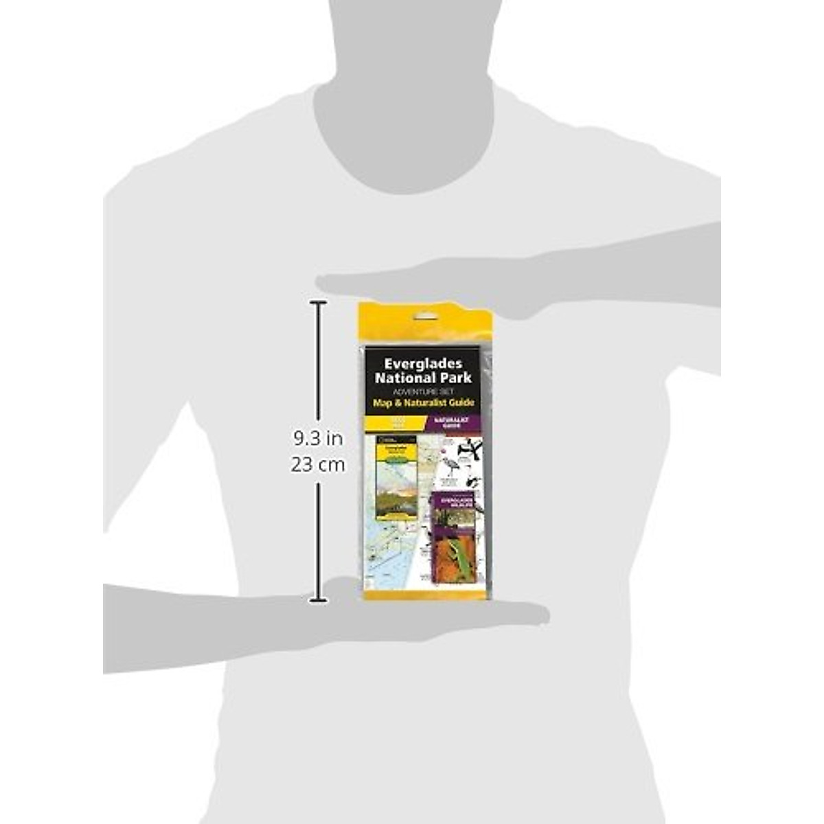 Everglades National Park Adventure Set: Trail Map & Wildlife Guide