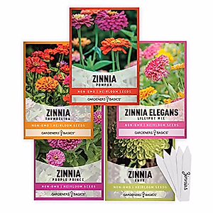 Zinnia Seeds for Planting Outdoors Flower Seeds (5 Variety Pack) Thumbelina, Lilliput, Envy, Purple Prince and Pompon Varieties for Butterflies, Bees, Pollinators Wildflower Seed by Gardeners Basics