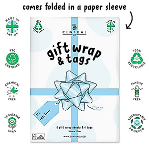 CENTRAL 23 - Cute Wrapping Paper for Her - 6 Sheets of Gift Wrap - Cute Otters Birthday Wrap - For Wife Husband - Colourful Wrapping Paper - Balloons - Recyclable