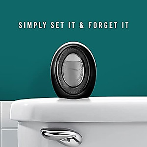 Febreze Small Spaces, Plug in Air Freshener Alternative for Home, Berry & Bramble, Odor Fighter for Strong Odor (4 Count)