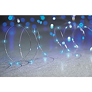 Ashland Michaels 40ct. Blue Silver Wire LED String Lights