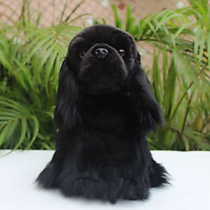 FRANKIEZHOU Realistic Cocker Spaniel Stuffed Animal-Black 10",Springer Spaniel Dog Plush Toy, Cocker Spaniel Gifts,Soft Durable, Toy for Boy,Girl Toys,Gifts for Kids,Home Decor,Hugging Toy