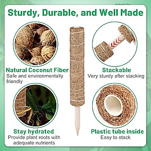 68'' Total Moss Monstera Pole Plants Support for Indoor Climbing Plants- Stable Stackable Coco Coir Stakes for Potted Plants, Easy to Use (6 Pack)
