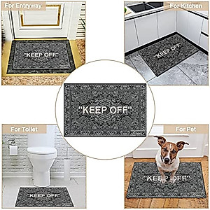 YIKUDU Keep Off Large Rugs Floor Mat Modern Carpet for Home Decoration Area Rug,Cozy Art Decoration Polyester Carpet 36 x 24 inch