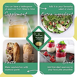 TrueSeaMoss Sea Moss Raw Wild Crafted Seamoss Raw - 100% Irish Sea Moss Raw (Pack of 1) - Dried Sea Moss Advanced Drink - Clean and Sundried - Vegan Sea Moss (1Pound) (16oz)