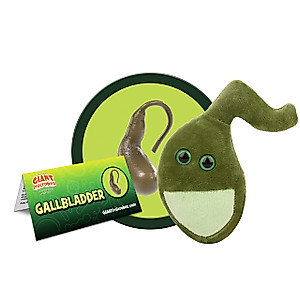 GIANTmicrobes Gallbladder Plush, Gallbladder Stuffed Animal, Gallbladder Surgery Gifts, Gallbladder Plush Toy, Gallbladder Removal Gift, Gastroenterology Gifts, Gastroenterologist Gifts, Get Well Gift