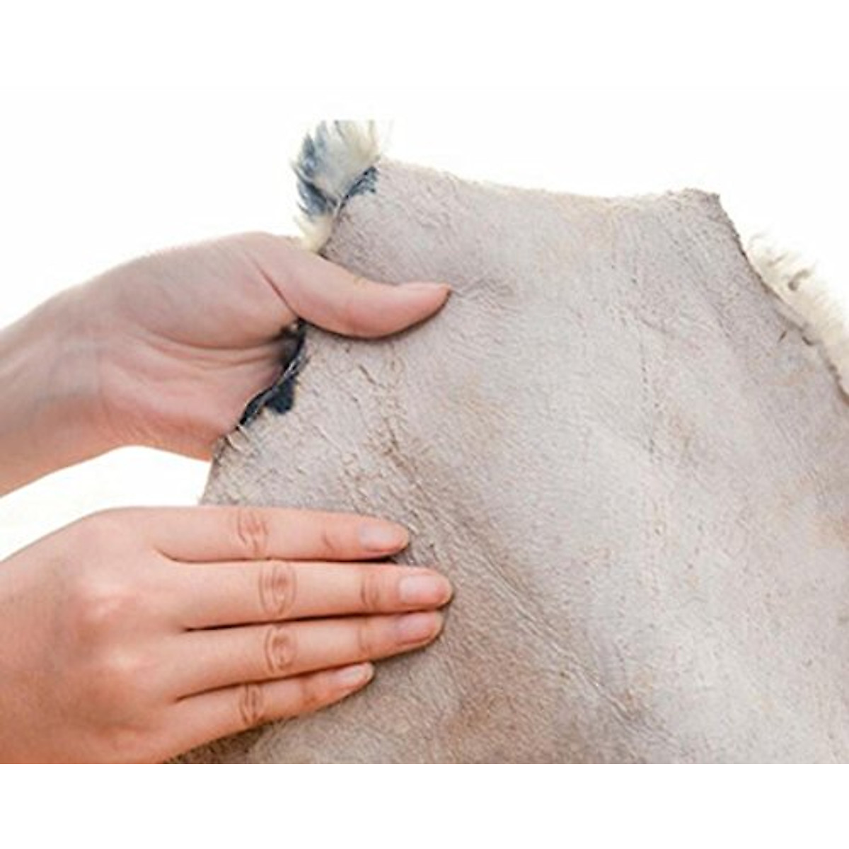 Gracefur Area Rug Tiger and Leopard Skin Printed Decor Rugs Super Soft Real Australia Sheepskin Carpet for Living Room, Bed Room, Sofa and so on 1 pelt (Tiger)