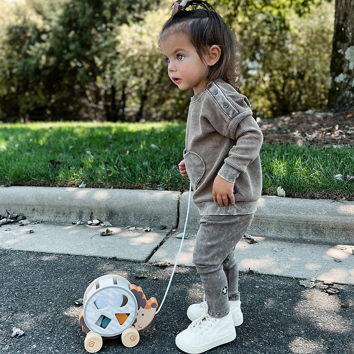 3 in 1 - Wooden Toddler Toy, Shape Sorting Toy, Pull Toy, & Stacking Toy, Toddler Blocks, Educational Toy for Baby Girls and Baby Boys, Montessori Toy for 1 Year Old & up hot Toy