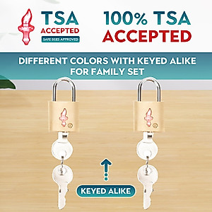 DUALCROWN 2 Pack Luggage Lock TSA Approved+Key Padlock, Travel Lock TSA Approved +Suitcase Lock TSA Approved for Luggage, Suitcase, Carry On, Backpack, Laptop Bag,4 Pack Gold