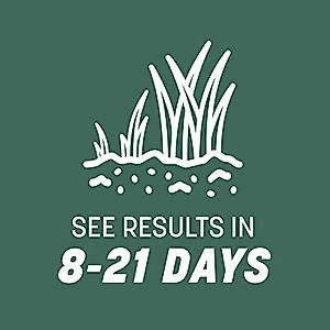 Pennington Kentucky 31 Tall Fescue Penkoted Grass Seed 7 lb