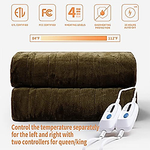 JET'S HOME Heated Blanket Queen 84"x90" - ETL&FCC Certified Flannel Electric Blanket Throw Machine Washable Heating Blanket with 4 Heating Levels 10 Hours Auto-Off Overheating Protection (Pinecone)