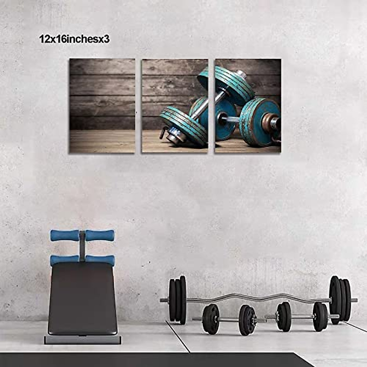 Modular Dumbbells Painting Modern Home Decor Poster 3 Pieces HD Printed Fitness Bodybuilding Gym Canvas Wall Art Wooden Art